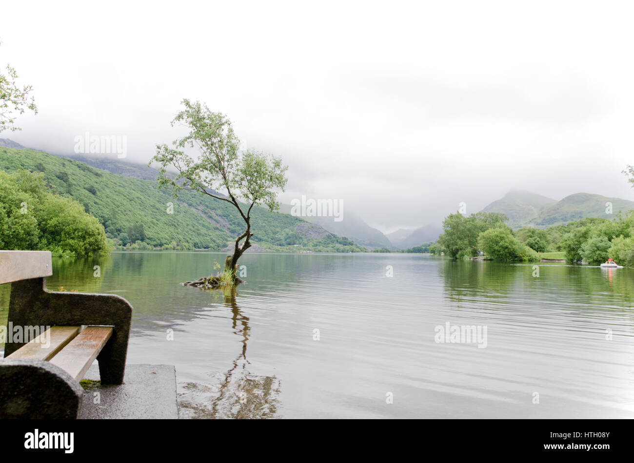 Tree beside bench hi-res stock photography and images - Alamy