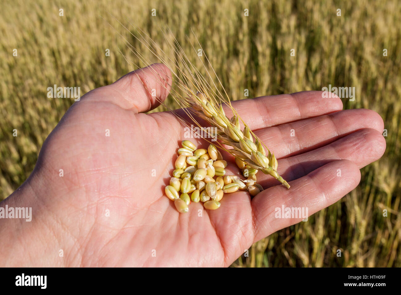 Quality checks hi-res stock photography and images - Alamy