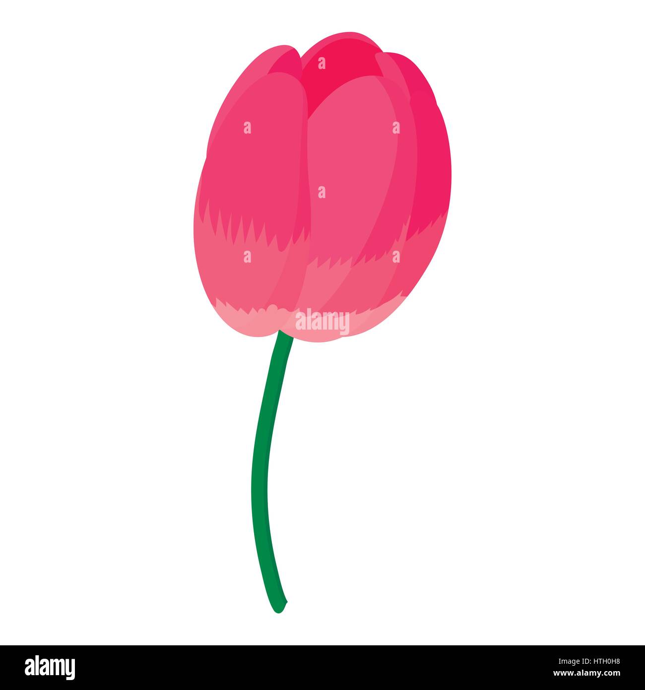 Pink tulip icon, cartoon style Stock Vector Image & Art - Alamy