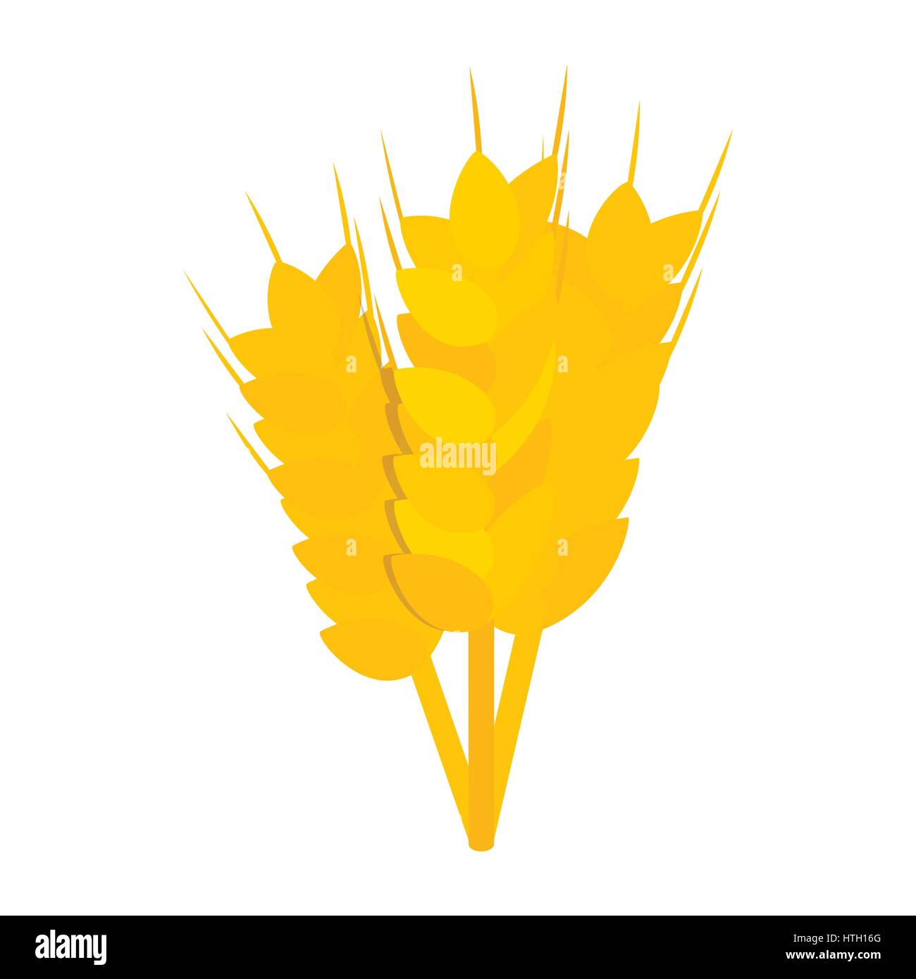 Barley bundle Stock Vector Images - Alamy