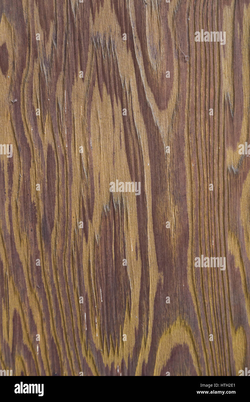 Texture of old real bark wood use as natural background Stock Photo - Alamy