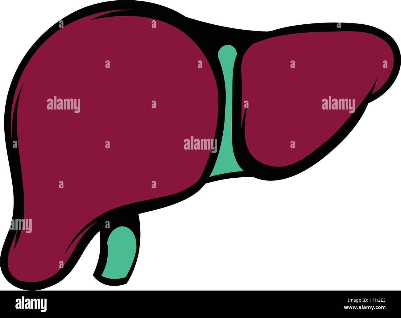 Human liver icon, icon cartoon Stock Vector Image & Art - Alamy