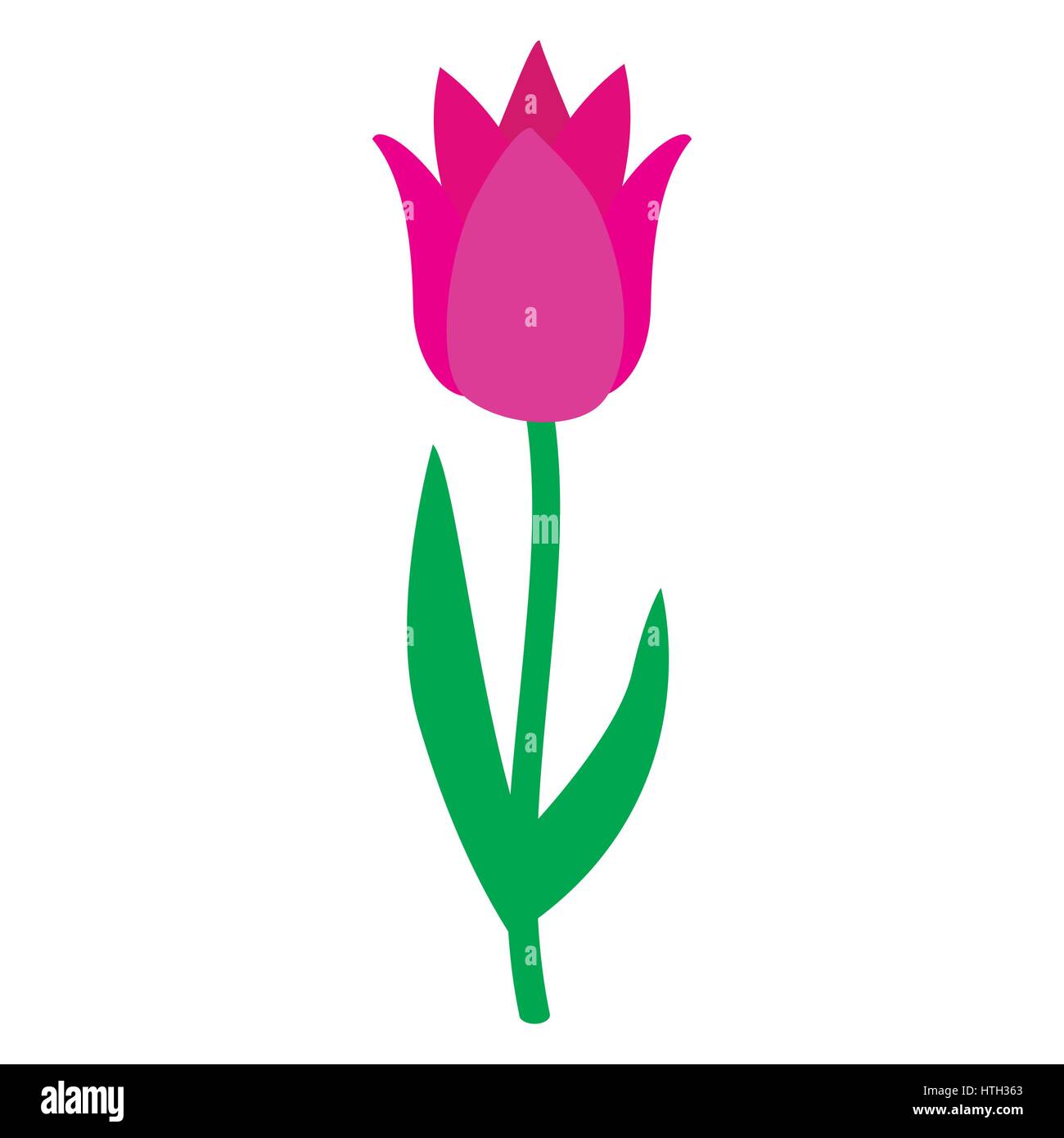 Pink tulip icon, isometric 3d style Stock Vector Image & Art - Alamy