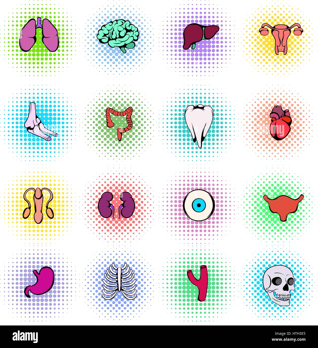 Internal organs set collection Stock Vector Images - Alamy