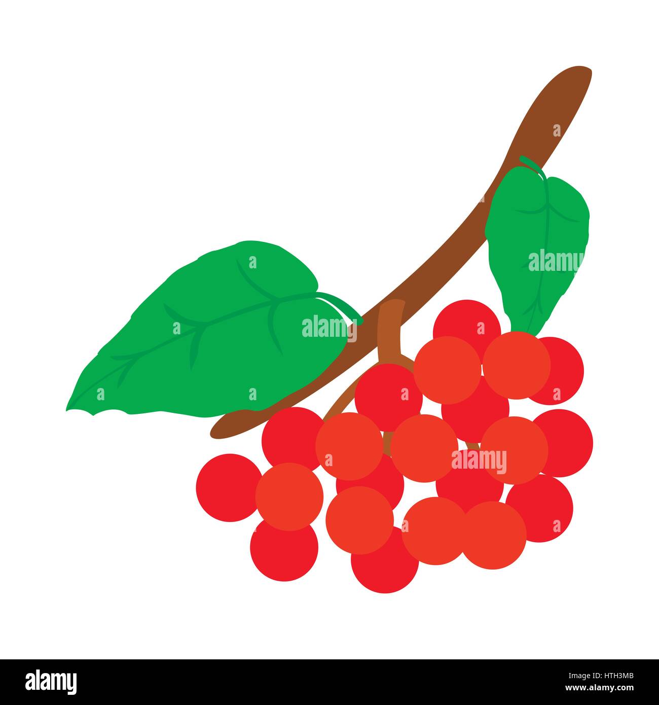 Hawthorn fruit in red Stock Vector Images - Alamy