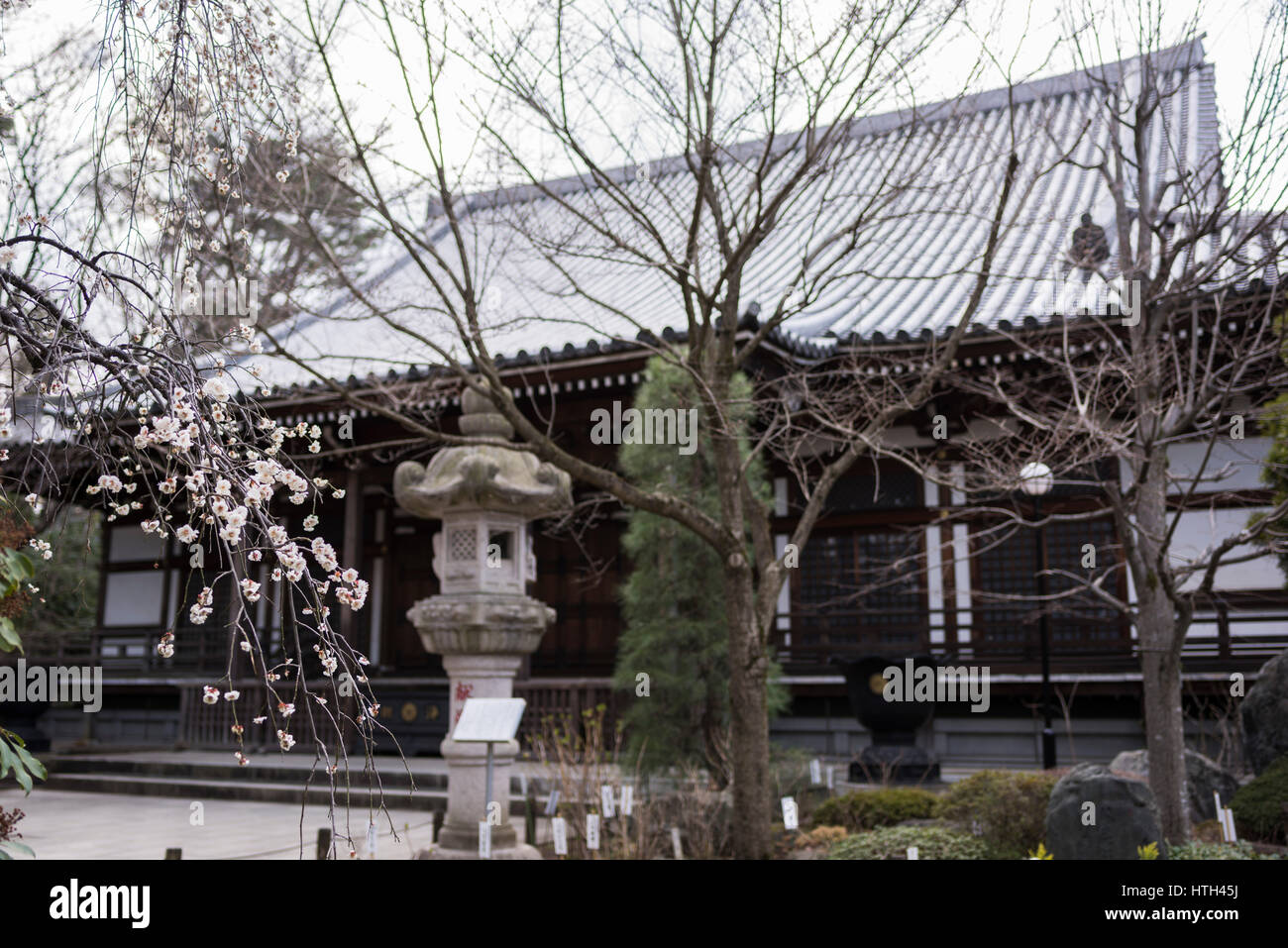 Hino City High Resolution Stock Photography and Images - Alamy