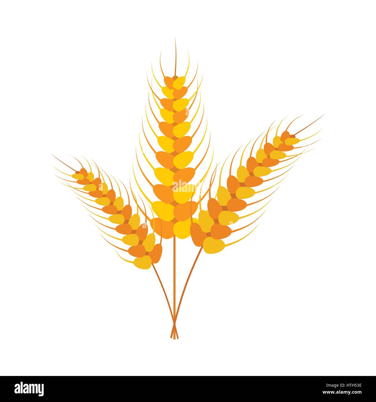 Barley bundle Stock Vector Images - Alamy