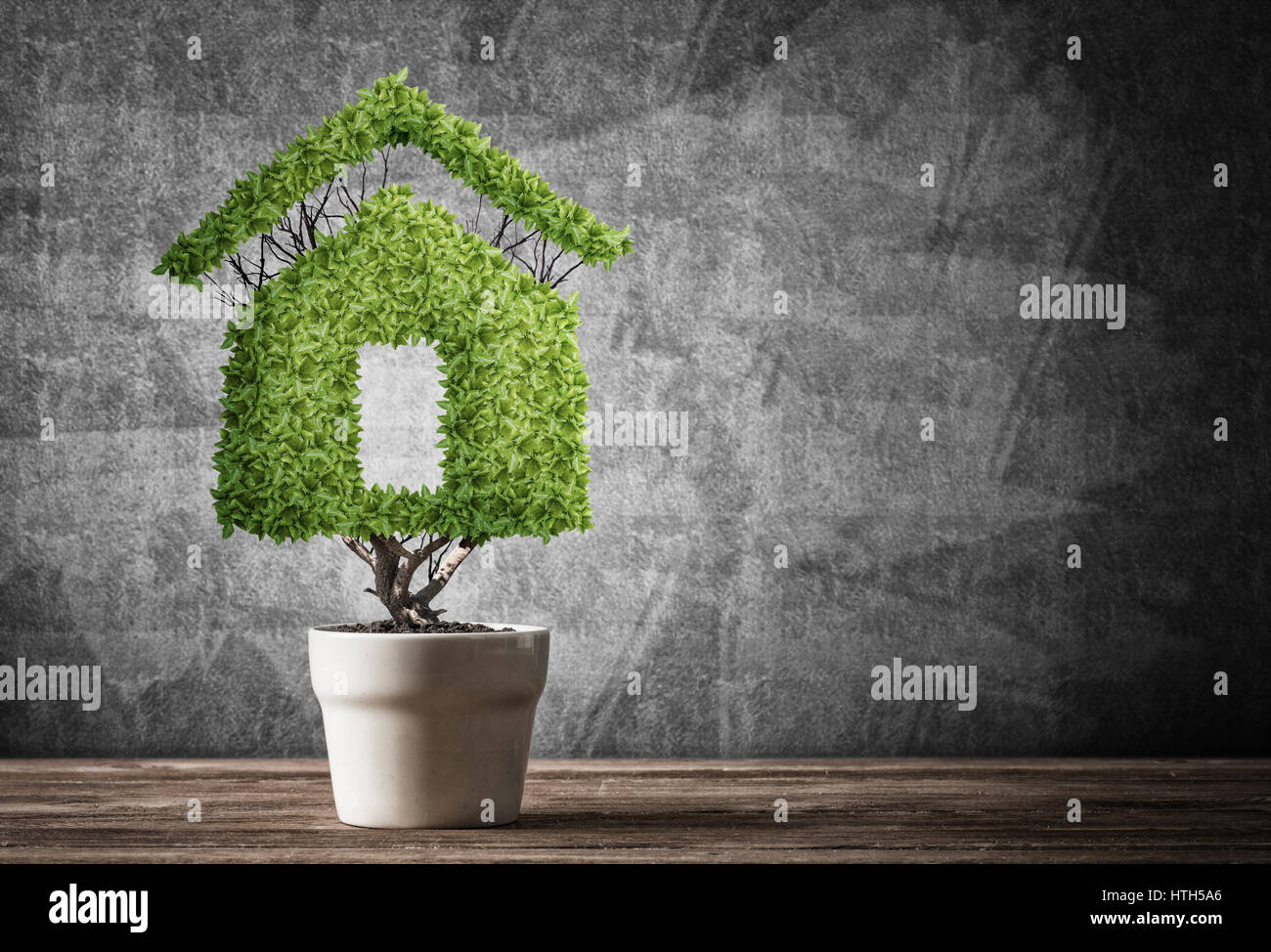 Green plant in pot shaped like house Stock Photo - Alamy
