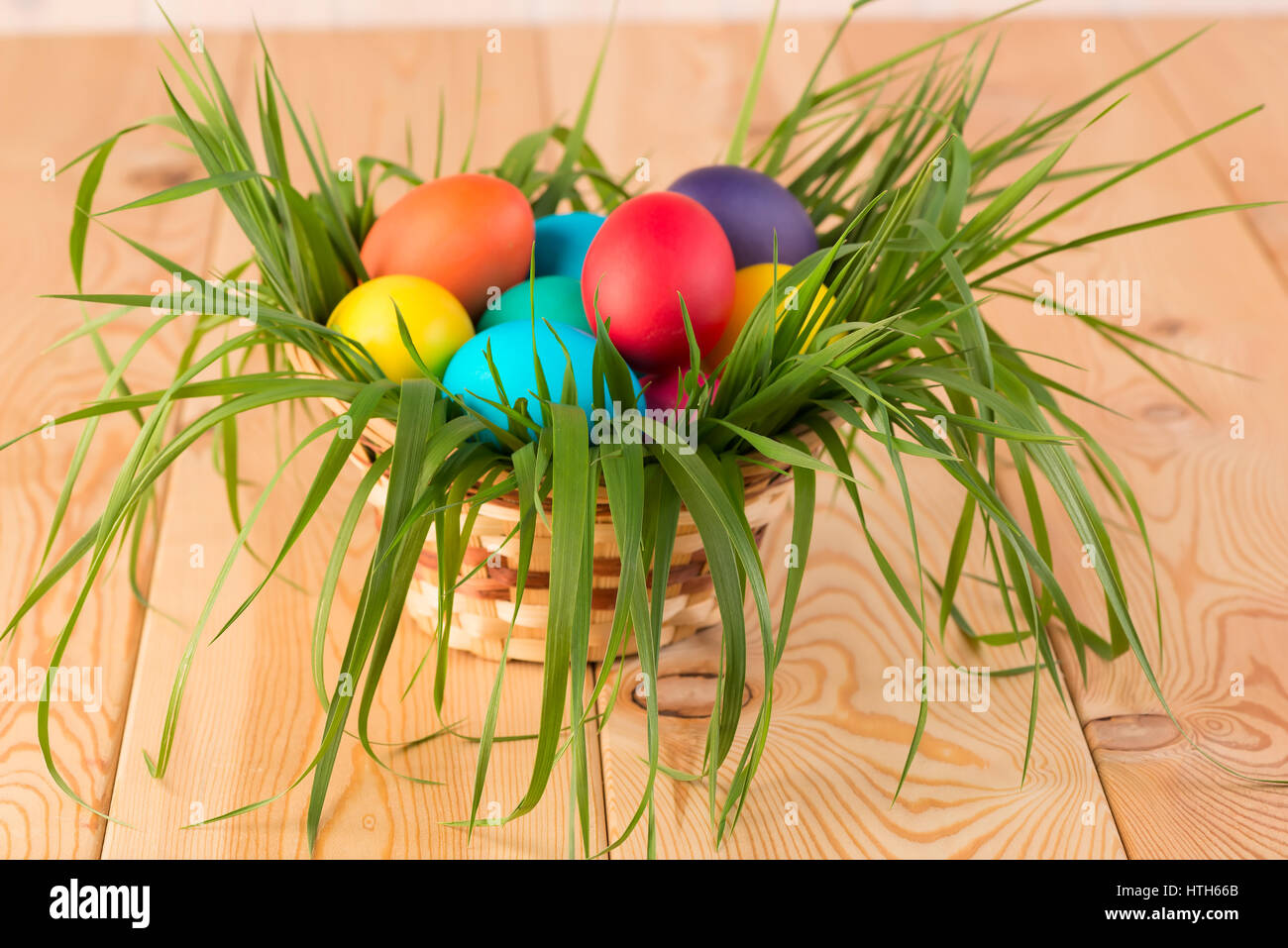 Lush spring grass hi-res stock photography and images - Alamy