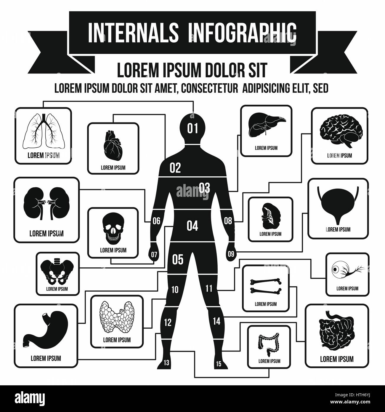 Internal internals Stock Vector Images - Alamy
