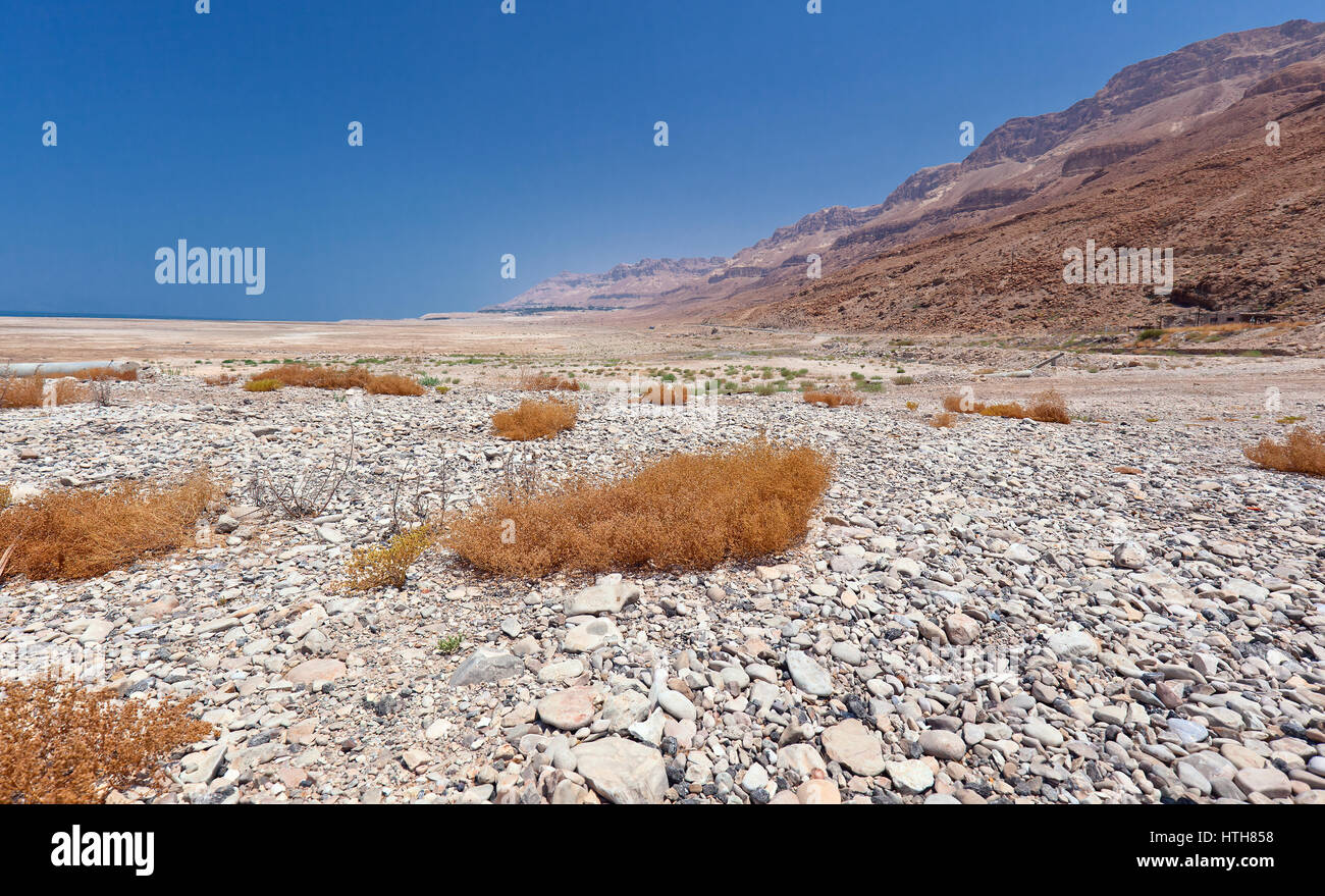 Desert landscape on a south of Israel Stock Photo - Alamy