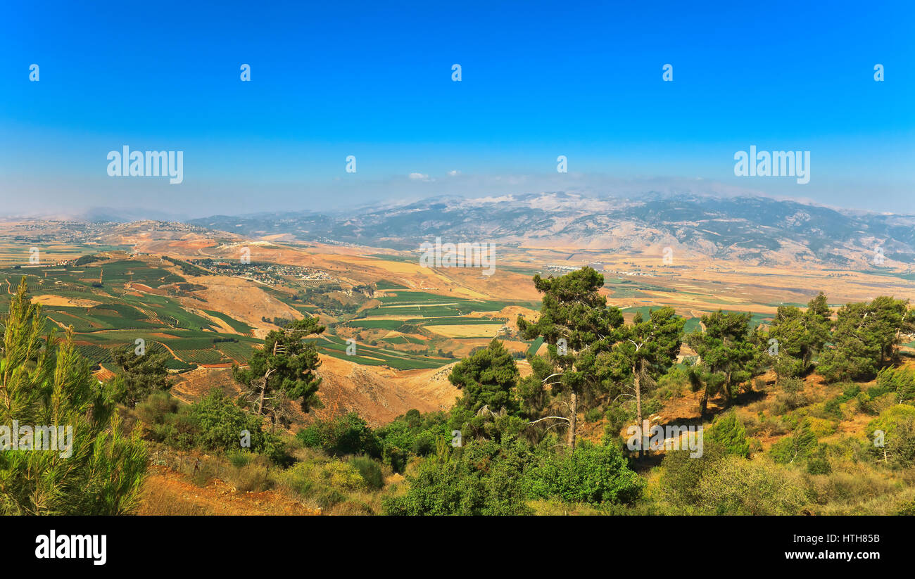 Mountain landscape in the North of Israel. Summer Stock Photo - Alamy