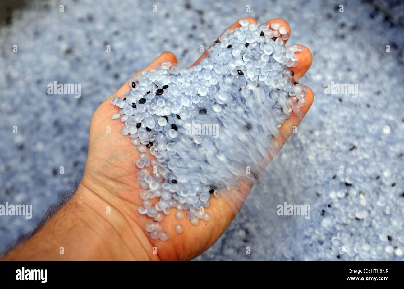 A press room operative gathers a handful of PVC pellets at the Vinyl ...