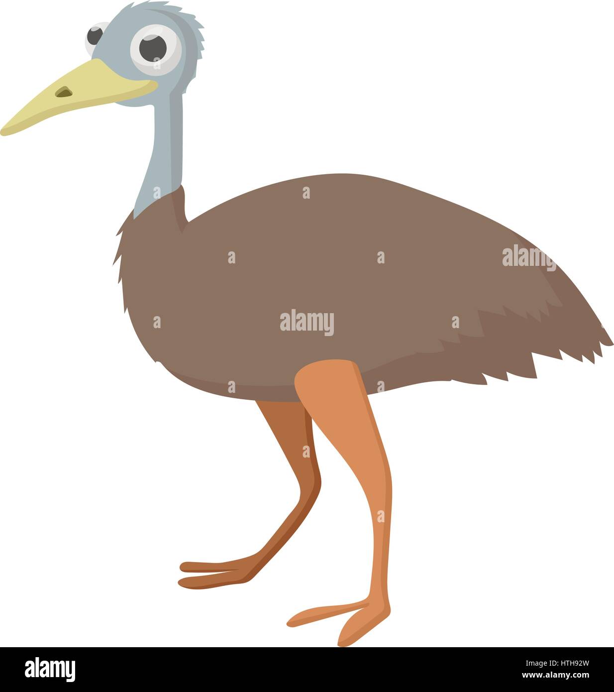 Emu claw hi-res stock photography and images - Alamy