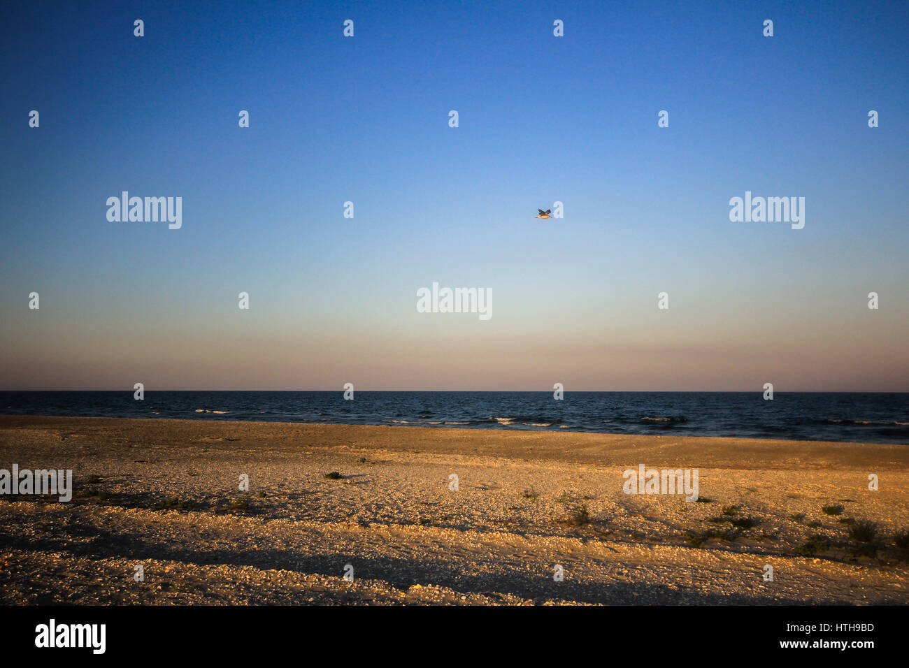 Empty beach at sunset Stock Photo - Alamy
