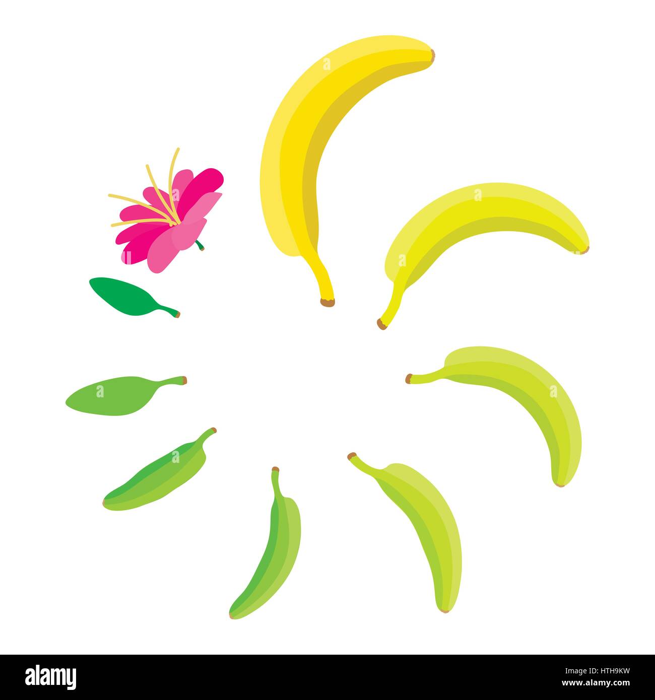 The yellow banana loader Stock Vector Images - Alamy
