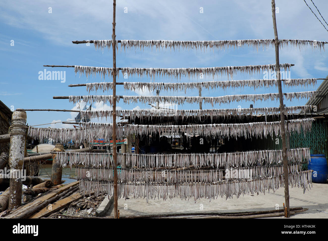 Seafood at Ca Mau fishing village, Mekong Delta, Vietnam. Dried fish is ...