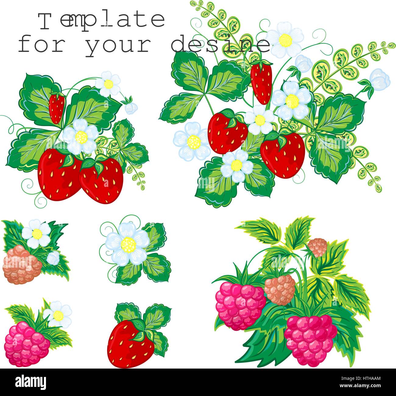 Natural organic berries set. Vector illustration Stock Vector Image ...