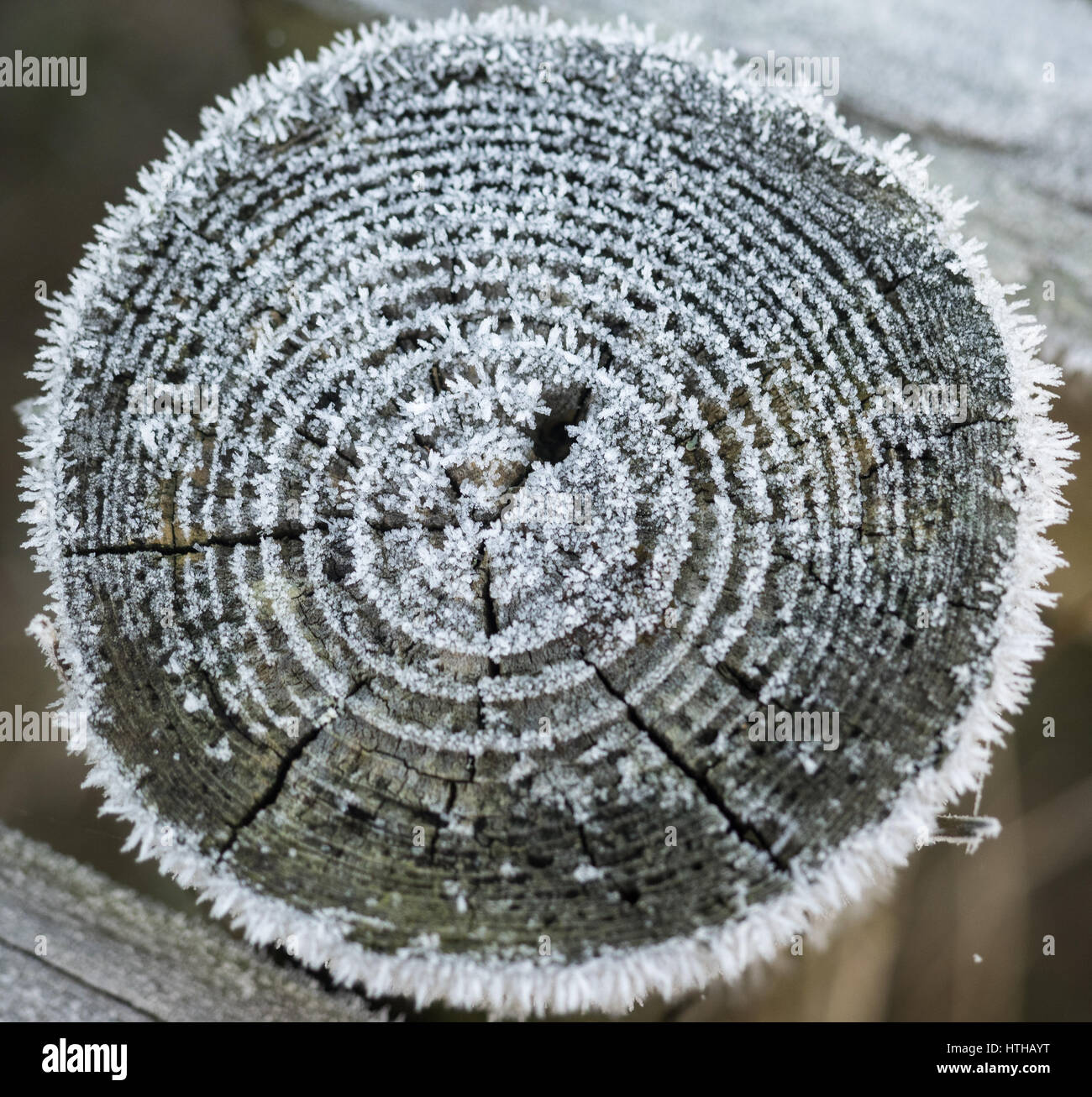 Timber post circles hi-res stock photography and images - Alamy