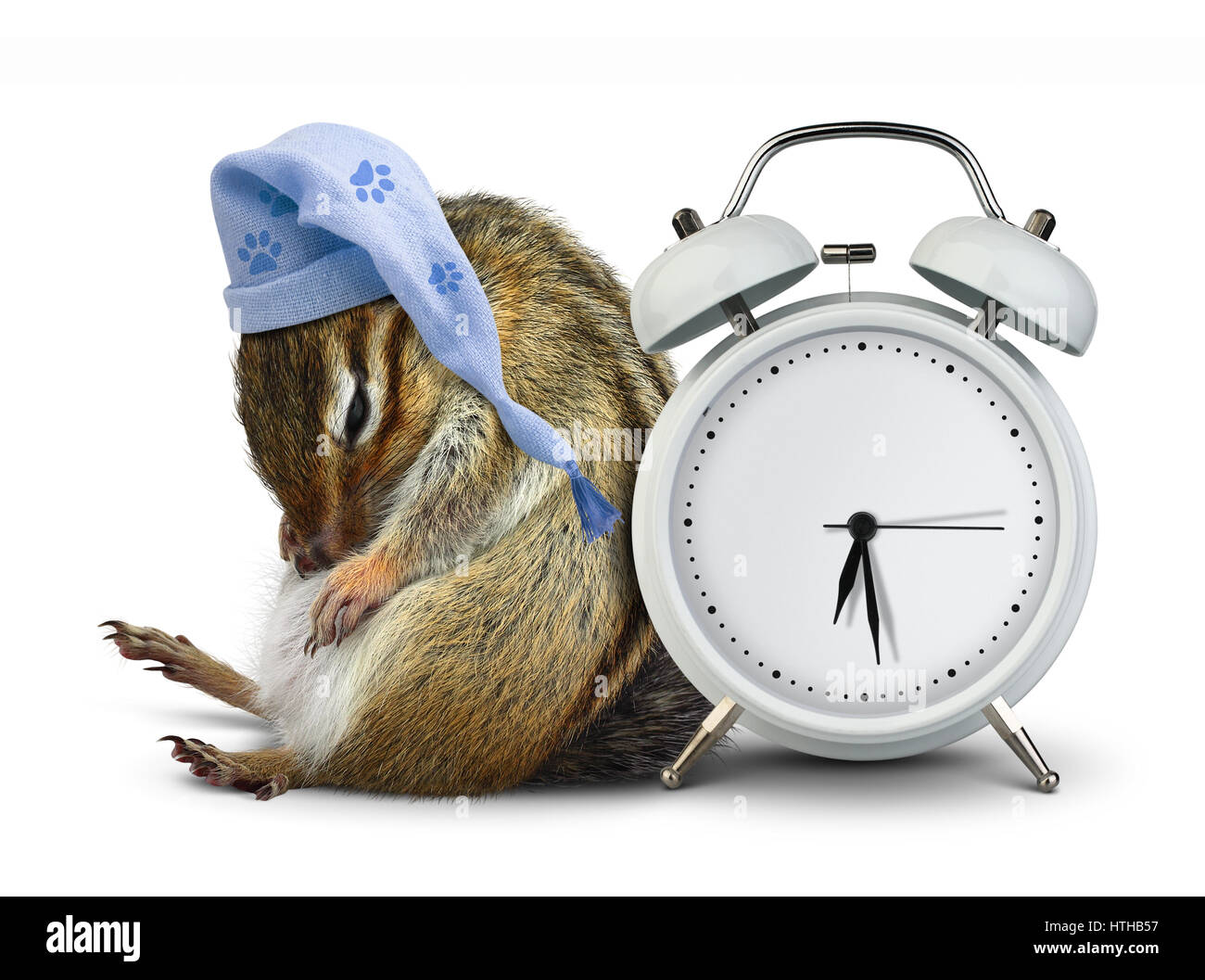 Chipmunk sleep hi-res stock photography and images - Alamy
