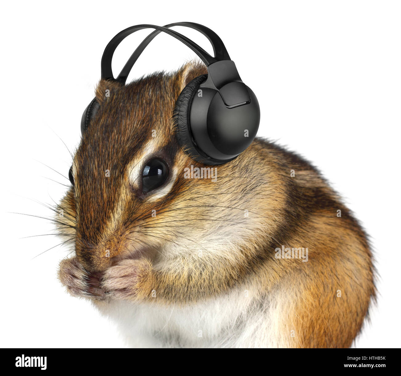 Hifi headphones hi-res stock photography and images - Alamy