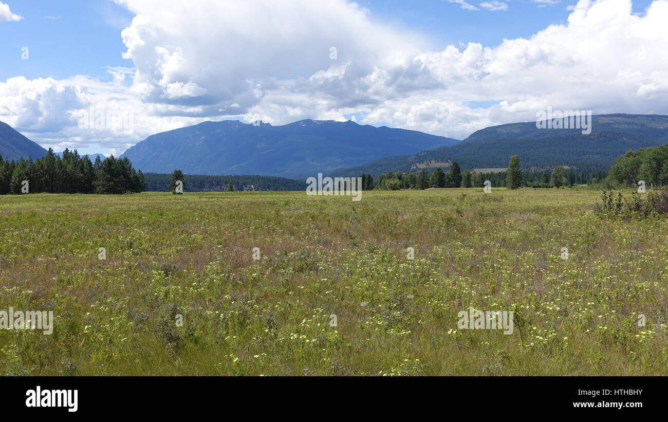 Landscape, Mountain View In BC, Canada Stock Photo - Alamy
