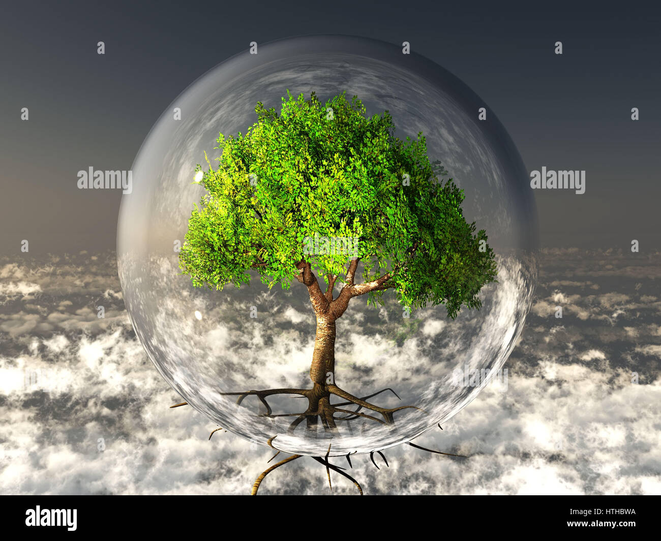 green tree in a transparent bubble Stock Photo - Alamy