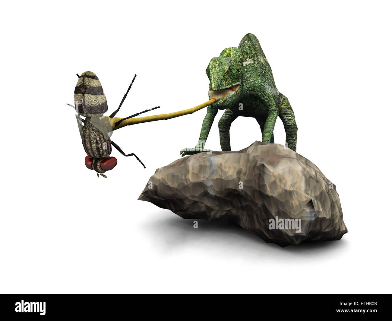 the chameleon and the fly Stock Photo - Alamy