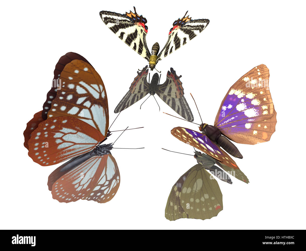 the beautiful butterfly with wings Stock Photo - Alamy