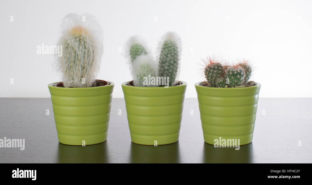 Table pot hi-res stock photography and images - Alamy