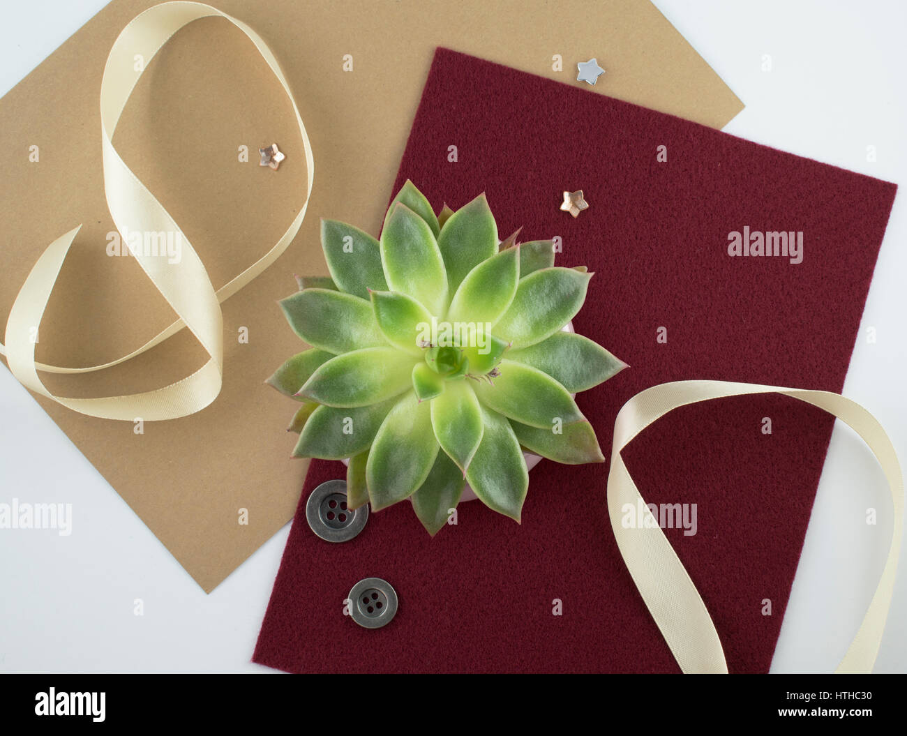 Cactus label hi-res stock photography and images - Alamy