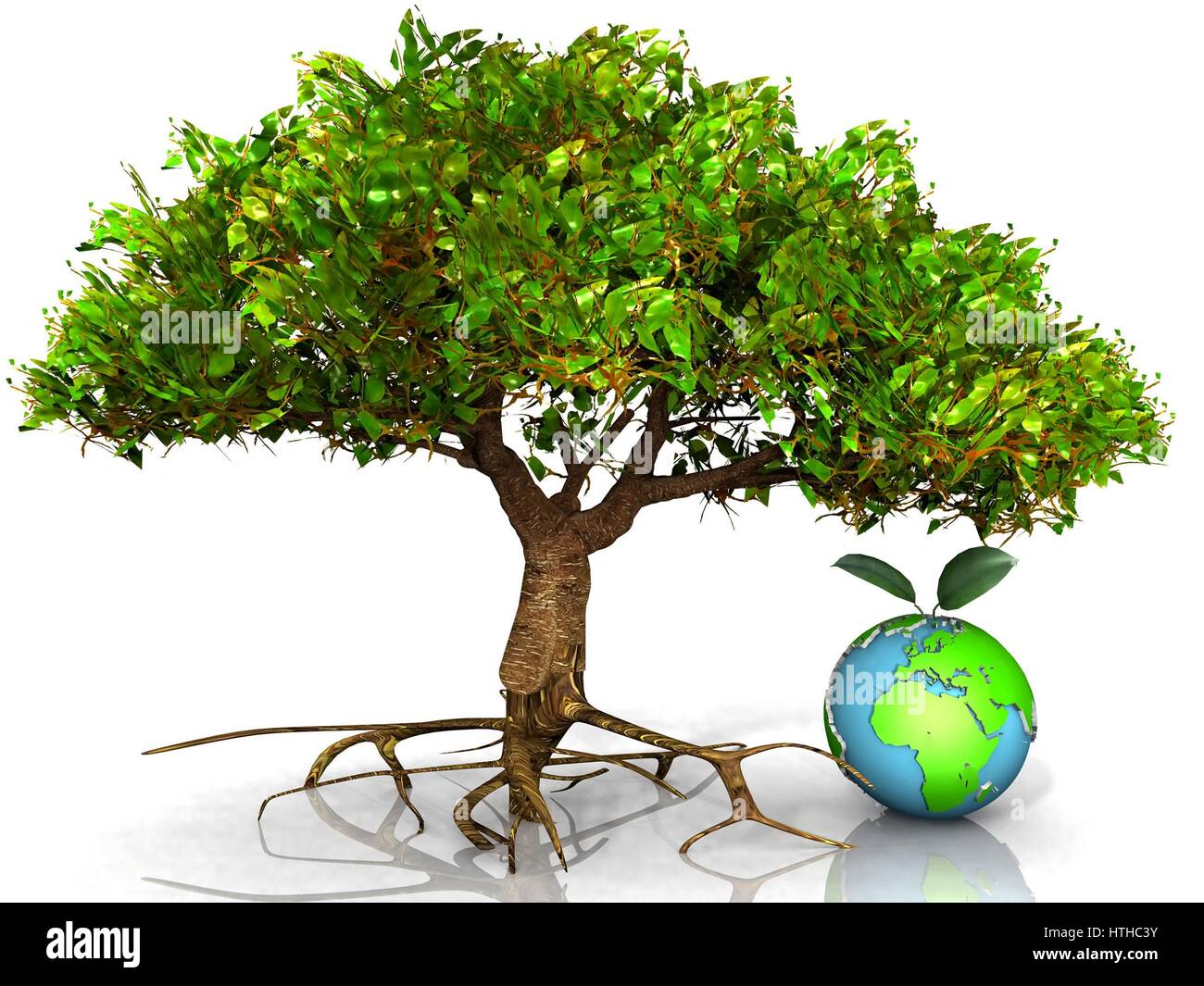 tree and earth Stock Photo - Alamy