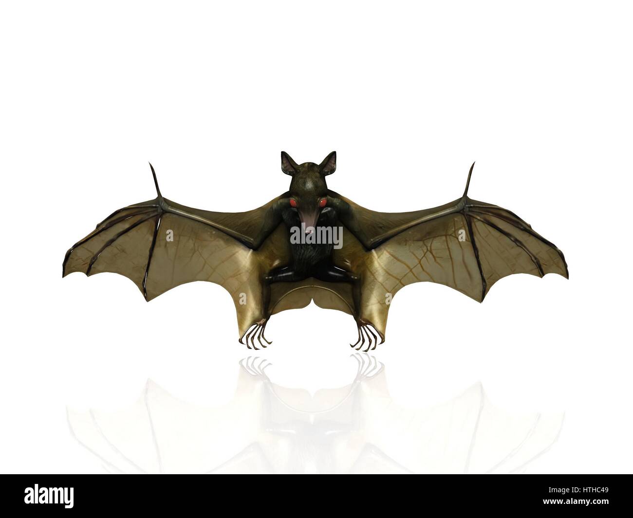 the bat on a white background Stock Photo - Alamy