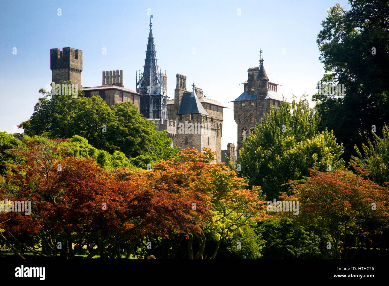 Bute park hi-res stock photography and images - Alamy
