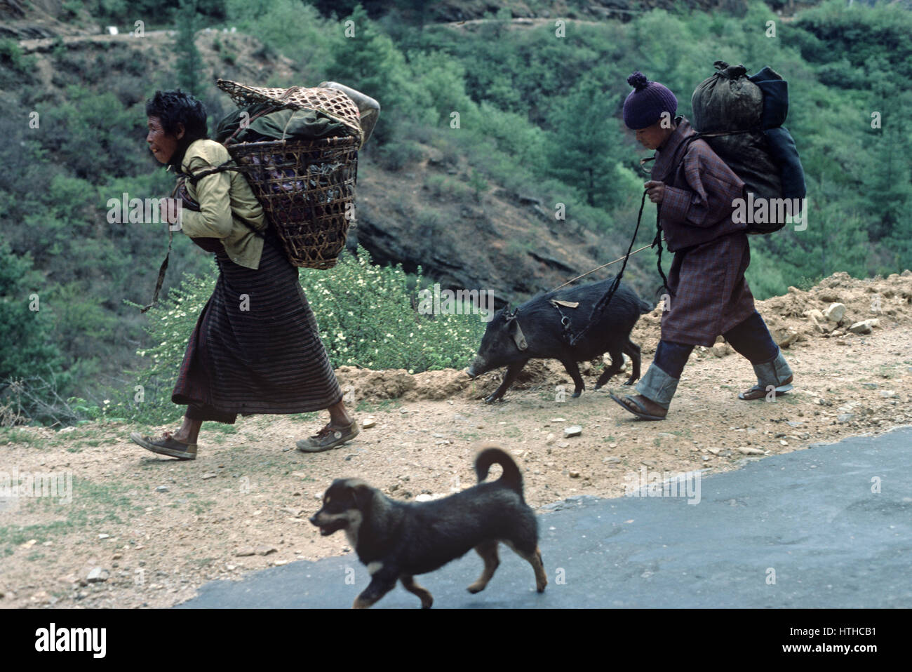 Travelling Bhutanese family with young pig on lead, Bhutan, Himalayas ...
