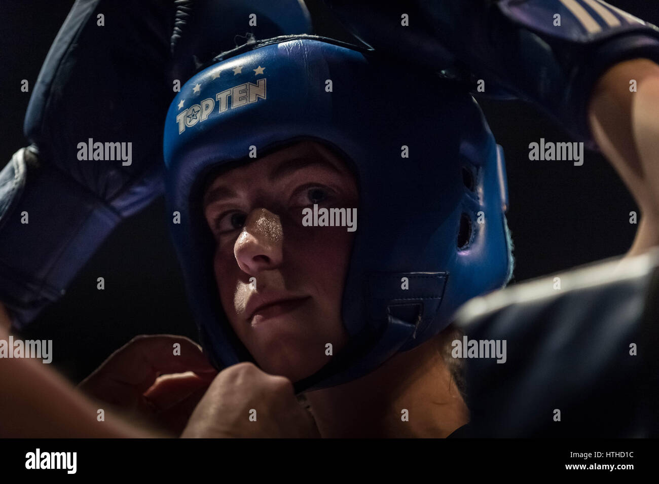 Eleonore cattle hi-res stock photography and images - Alamy