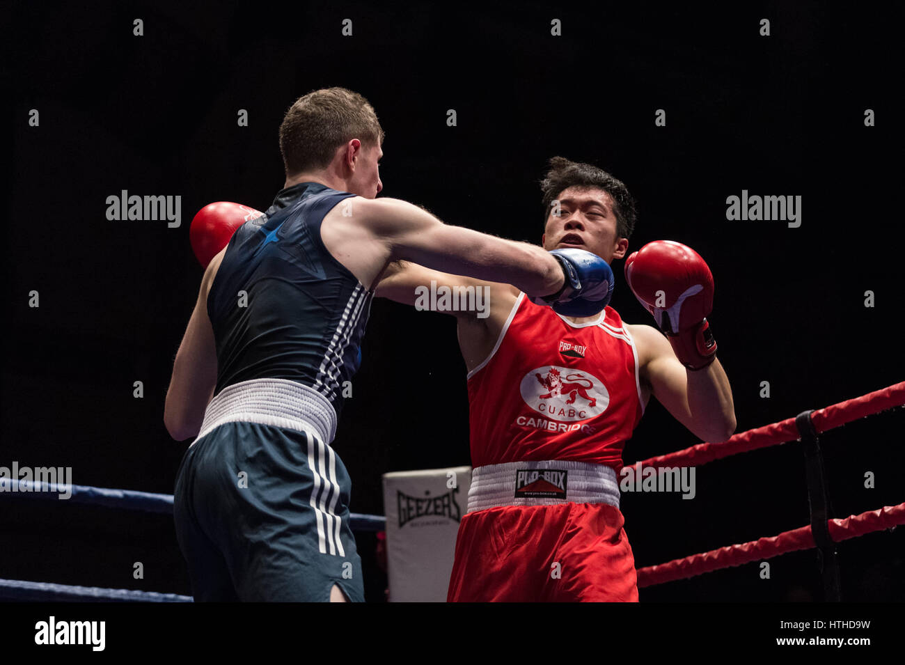 2017 boxing varsity hi-res stock photography and images - Alamy