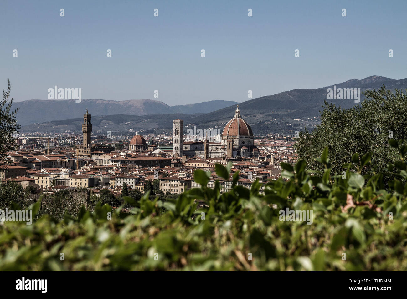 Florence from Above Stock Photo - Alamy