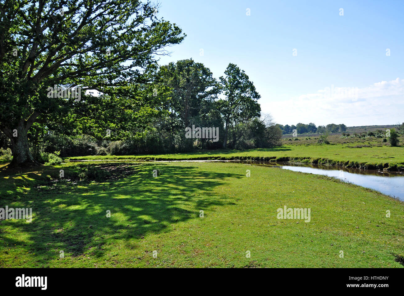 New Forest stream and heathland in the New Forest National Park ...