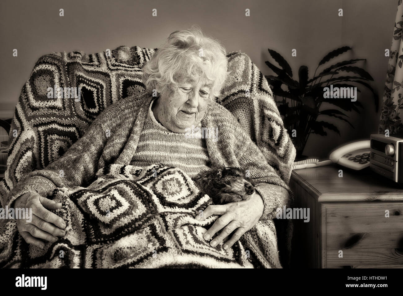 A dog's last days Stock Photo - Alamy