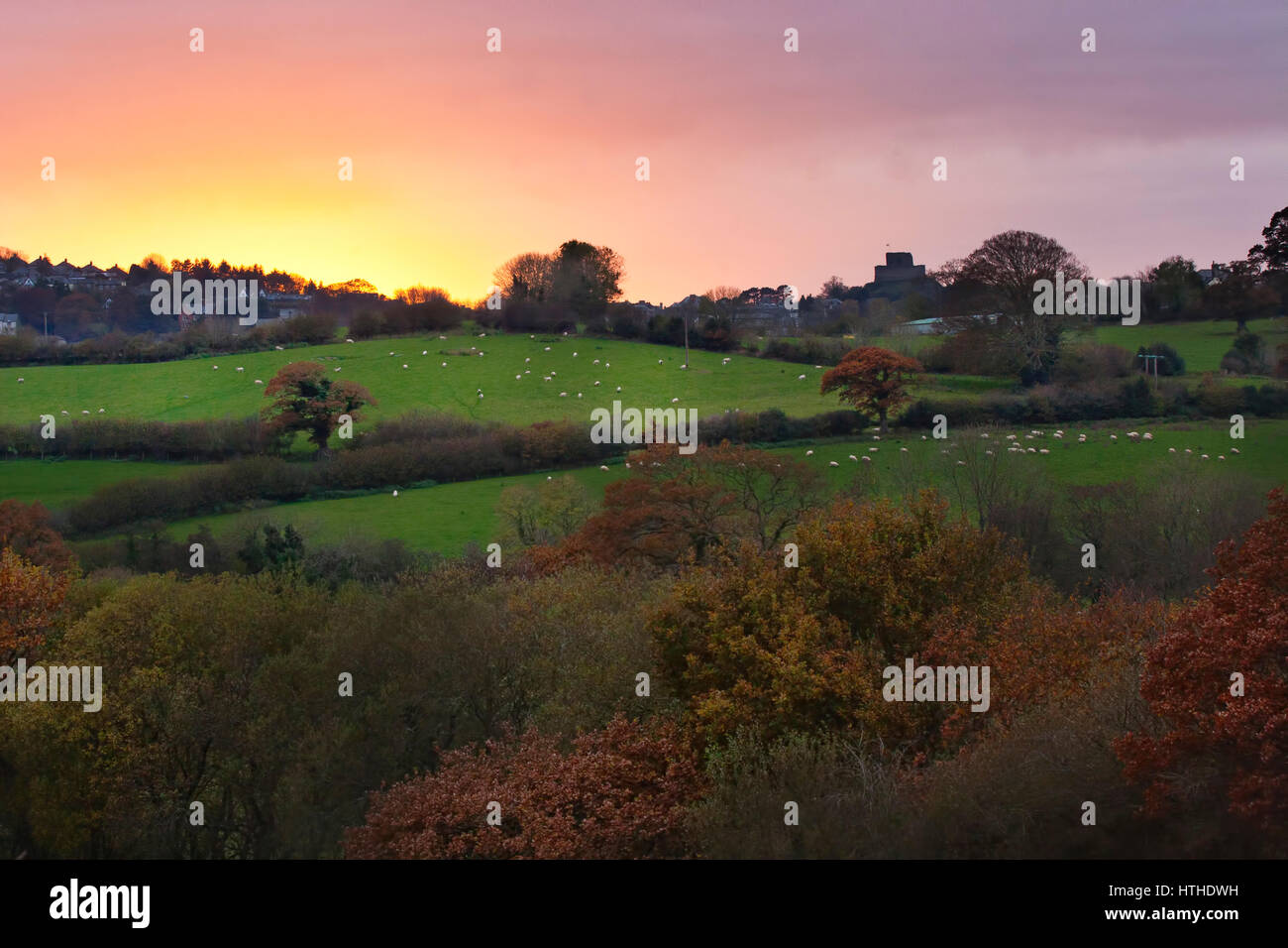 Cornish Devon Border High Resolution Stock Photography and Images - Alamy