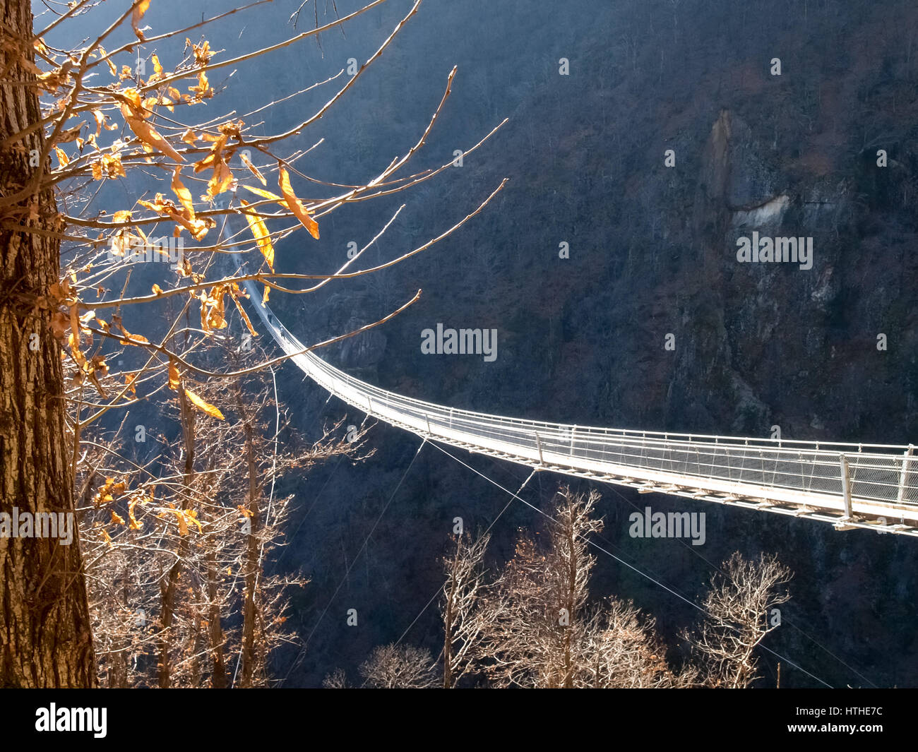 Sementina, switzerland: Suspension bridge over the valley Stock Photo ...
