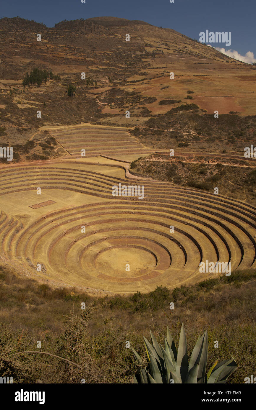 Moray inca archaeological site in peru hi-res stock photography and ...