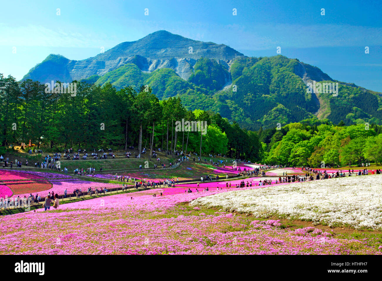 City of chichibu hi-res stock photography and images - Alamy