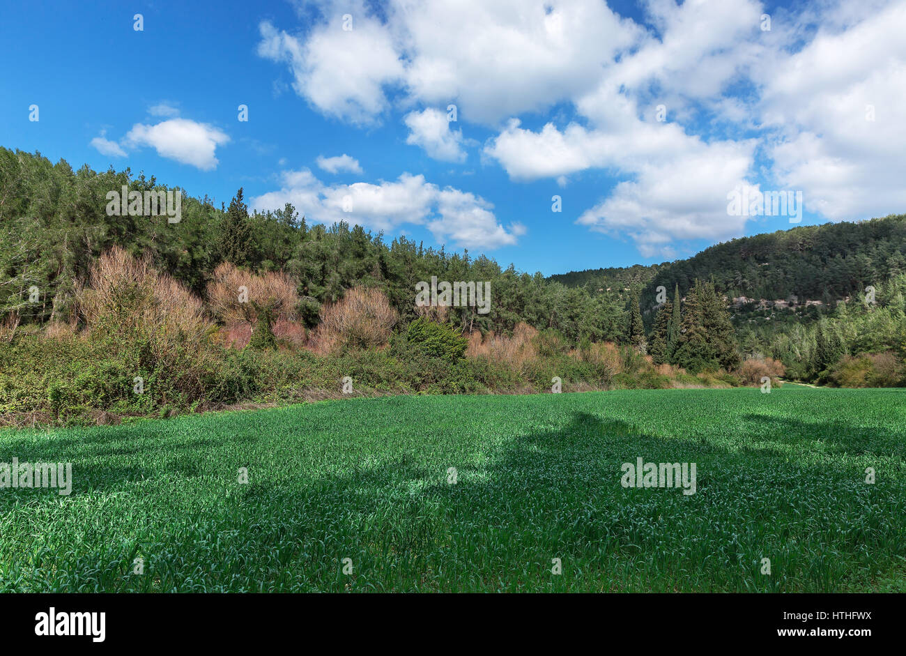 Green space in israel hi-res stock photography and images - Alamy