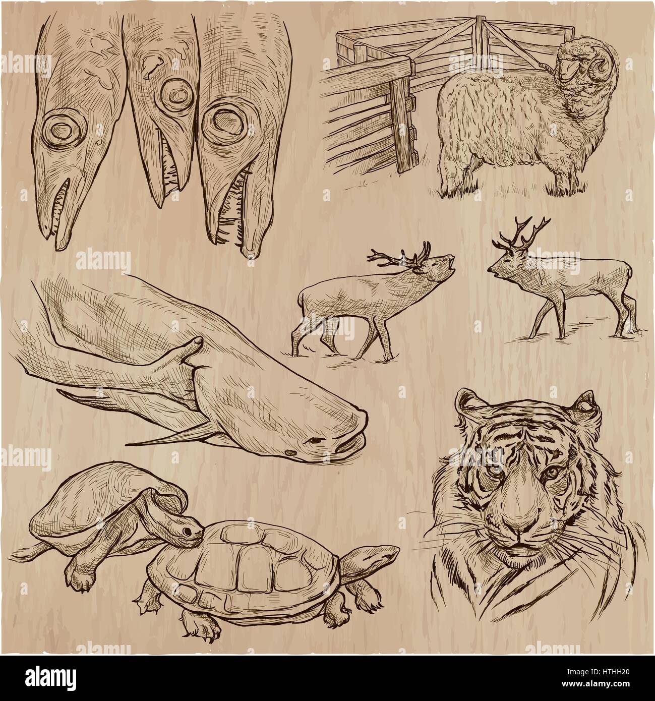 Animals around the World. An hand drawn vector illustrations ...