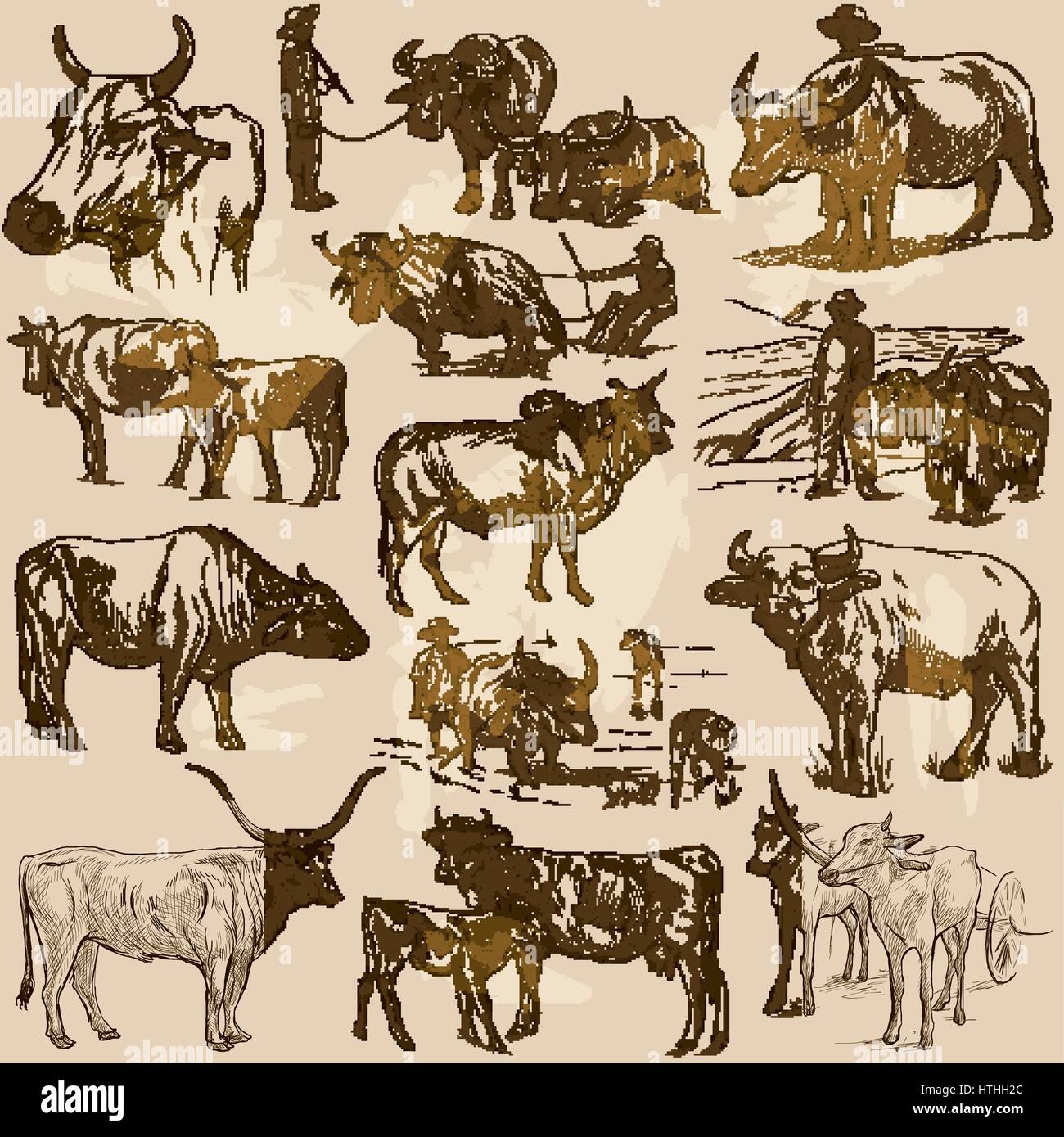 Animals around the World. Cattle, An hand drawn vector illustrations ...