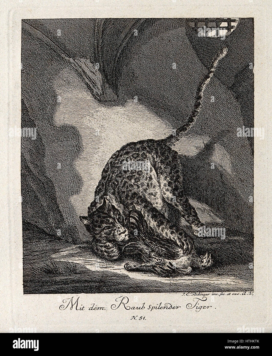 Tiger etching hi-res stock photography and images - Alamy