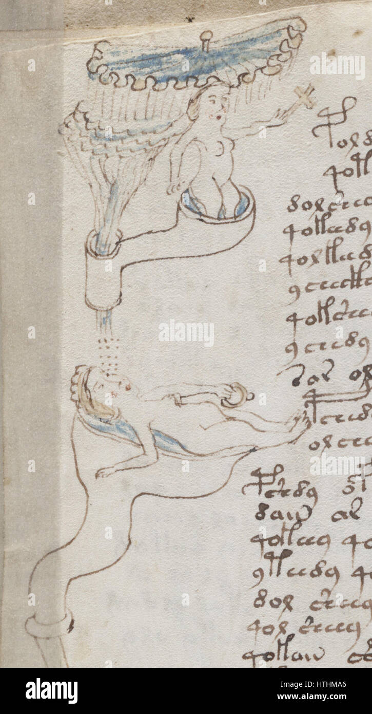 This detail from the Voynich Manuscript (folio 79v) features its mysterious and undecipherable ...