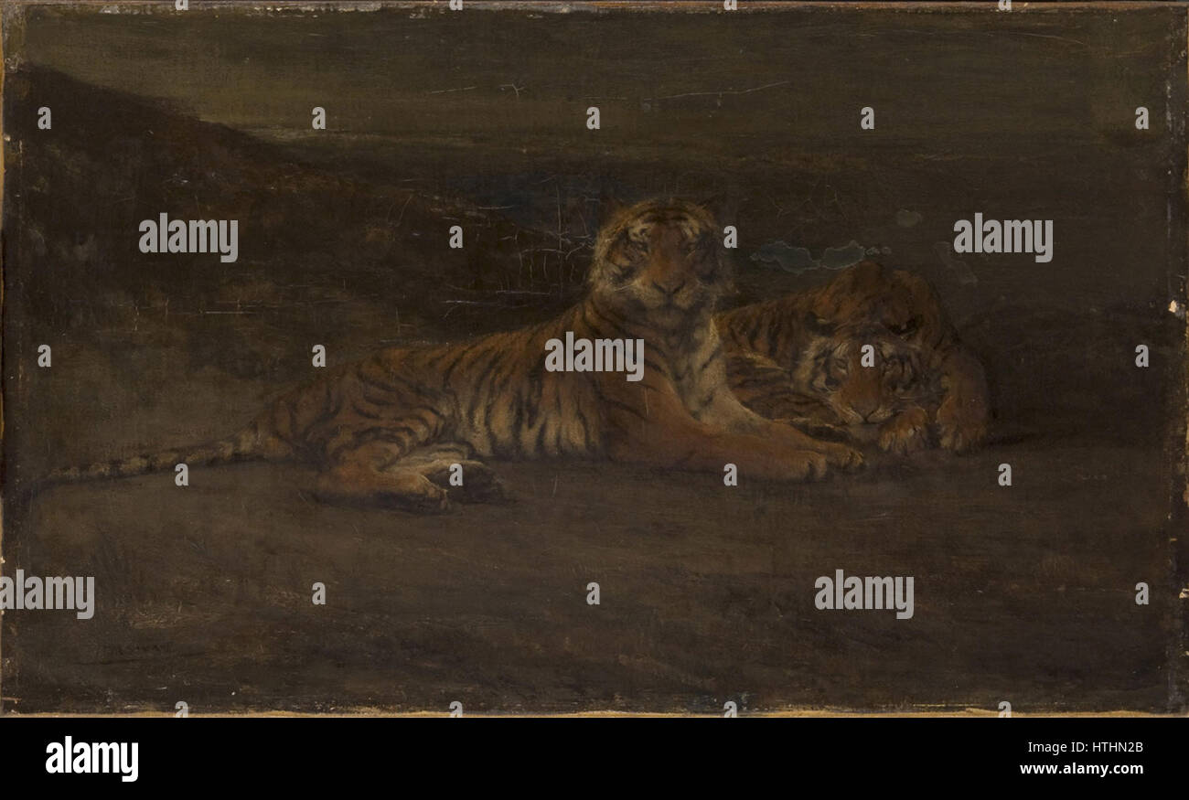 John Macallan Swan - Tigers Stock Photo - Alamy